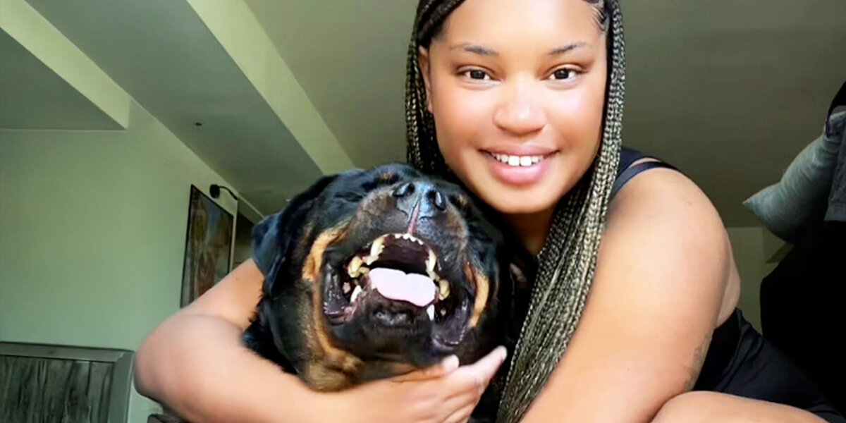 Rottie’s 'Growl' Is Actually Pure Happiness - Videos - The Dodo