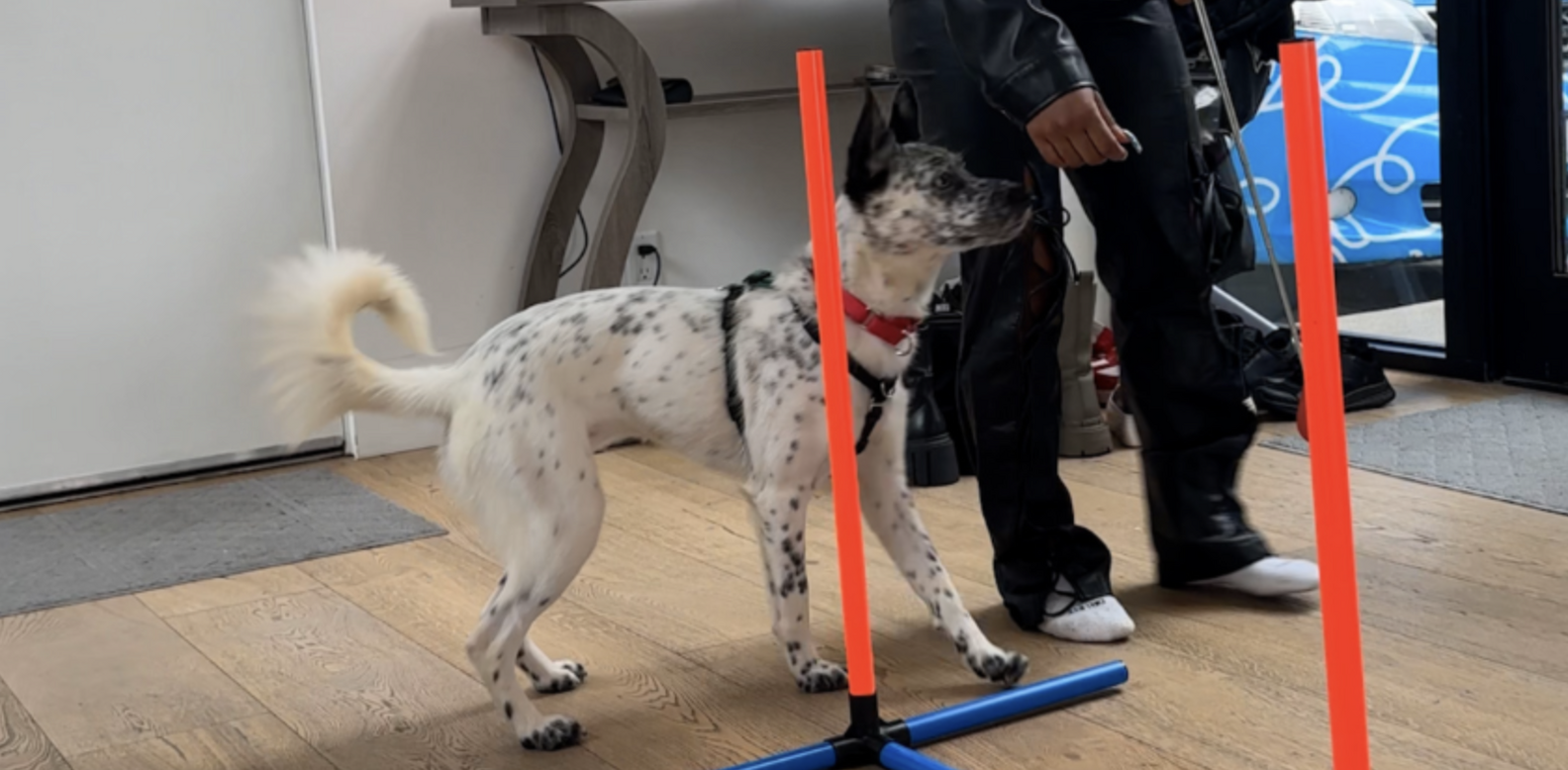 Jordan Chiles Teaches Dodo Dream Date How To Be A Superstar Athlete ...