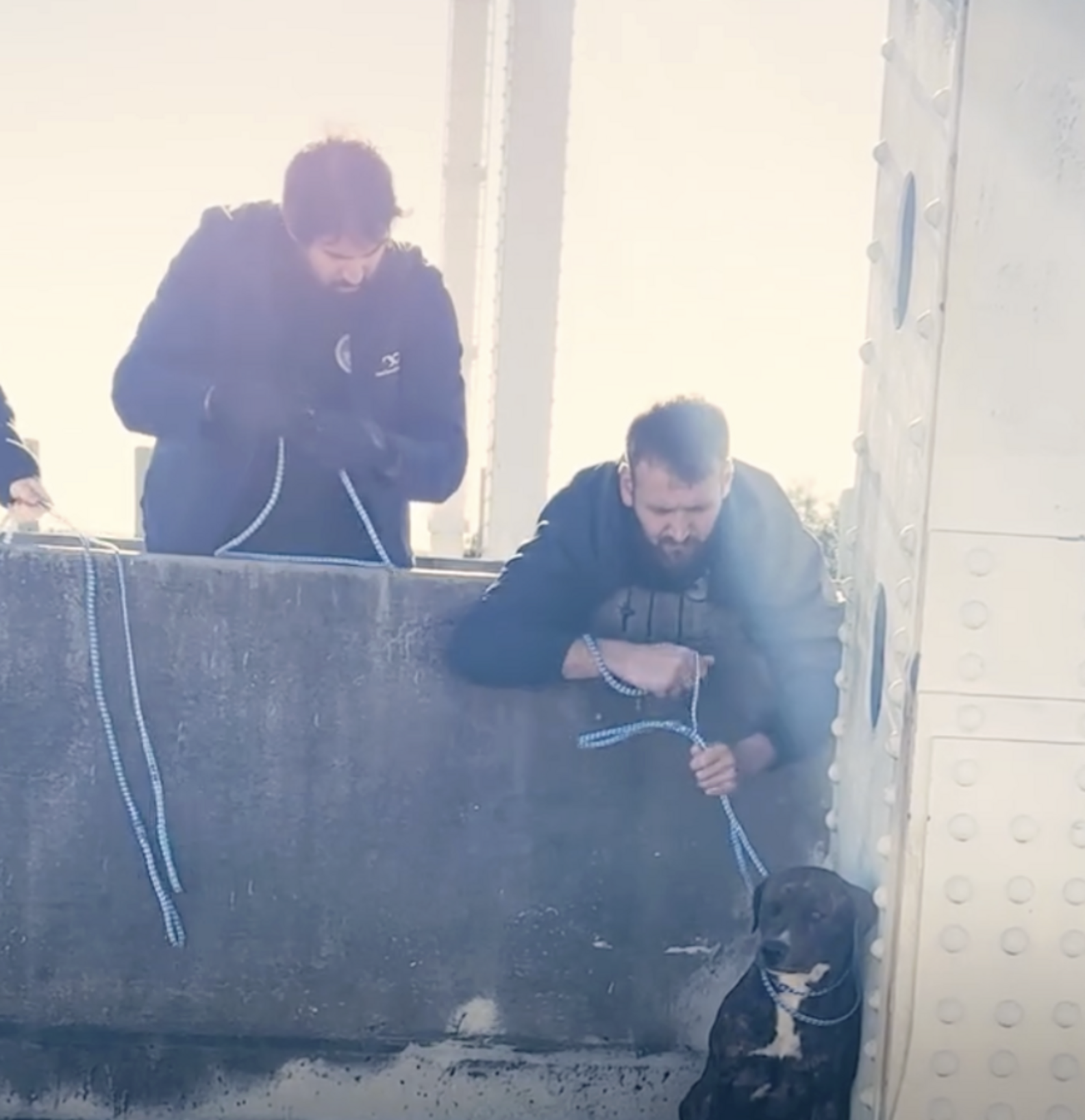 She Trembled On A Bridge For 12 Hours Until A Driver Finally Noticed ...