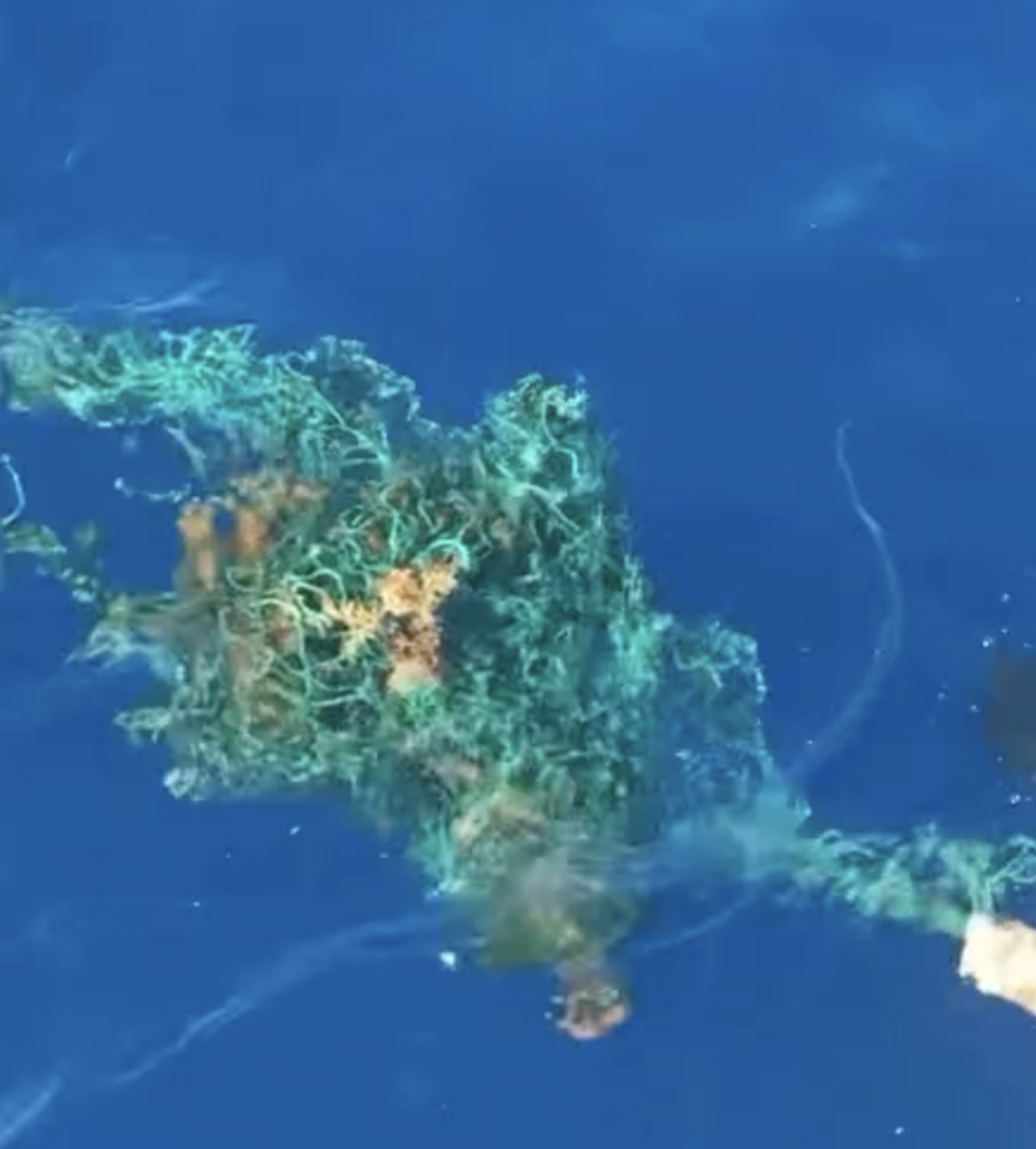 Boater Spots Some Floating Trash — And Realizes Someone's Trapped ...