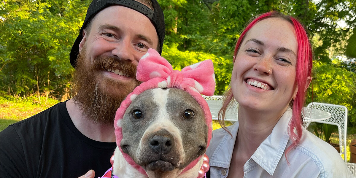 Pittie Who Lived Outside For 15 Years Ages Backwards - Videos - The Dodo