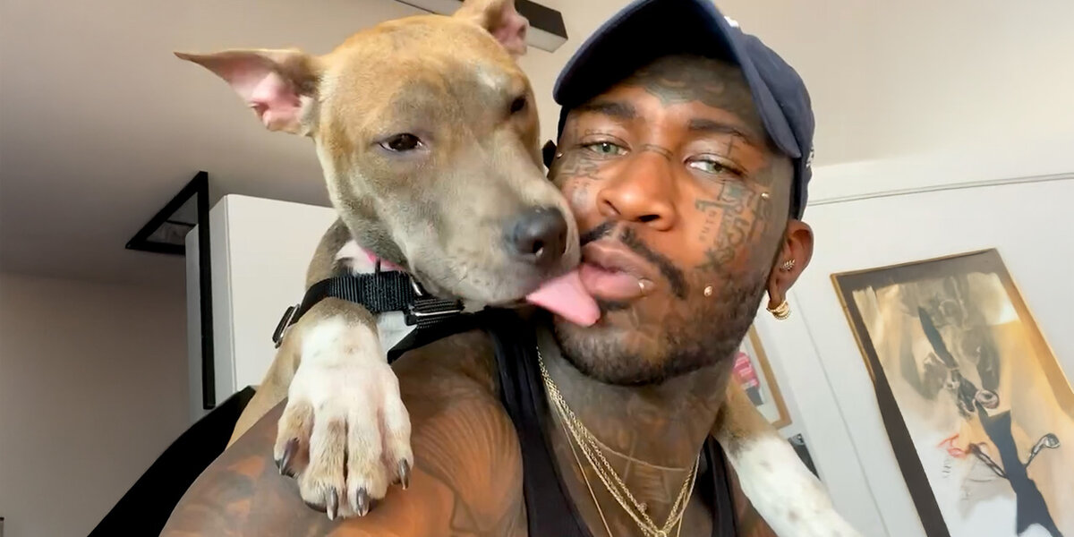 Meet the Man Who’s Fostered and Saved Over 40 Pitties - Videos - The Dodo