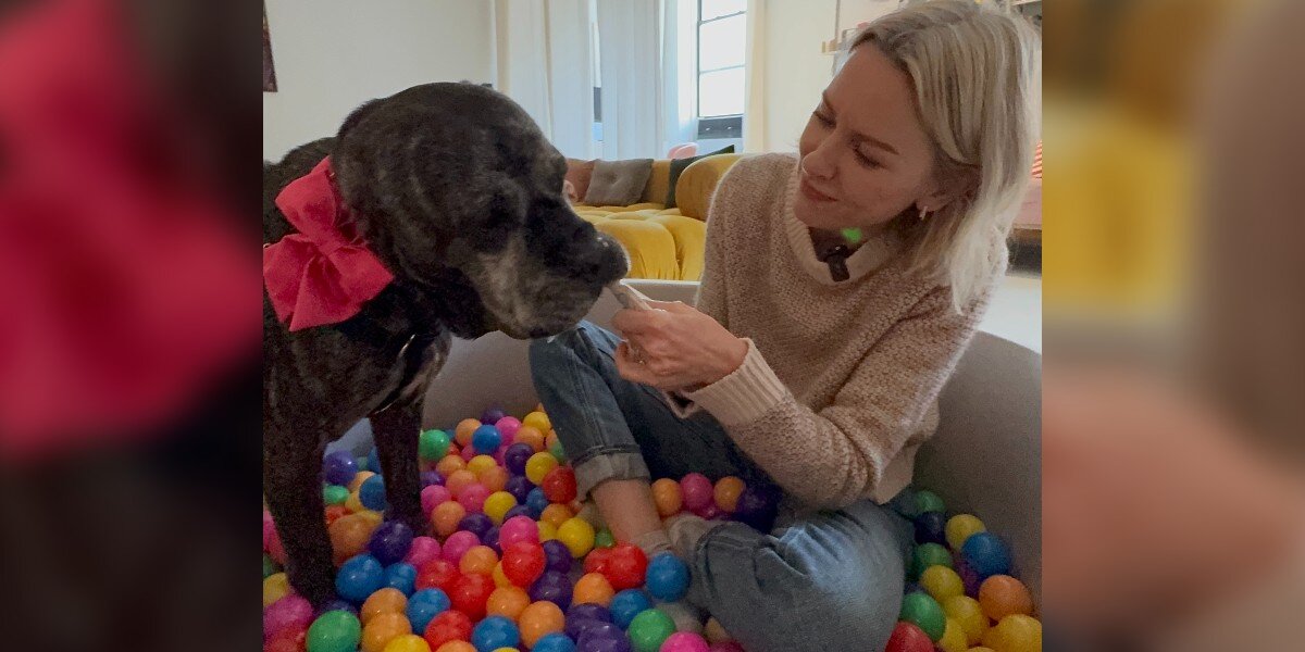 Naomi Watts Goes On A Supersized Dodo Dream Date - The Dodo
