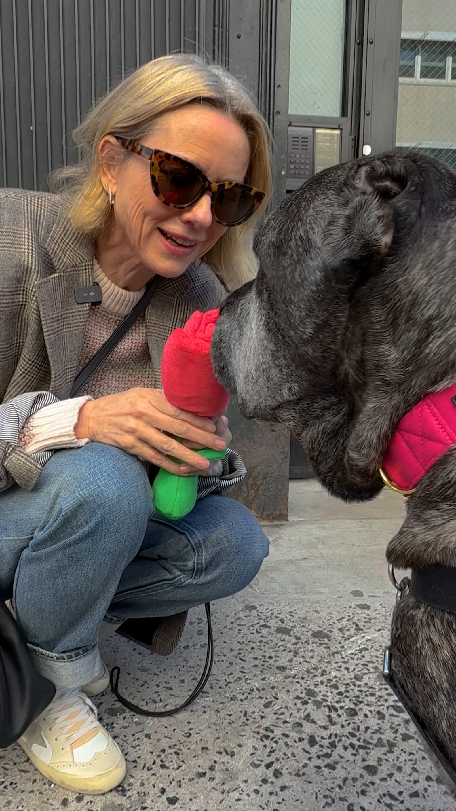 Naomi Watts Goes On A Supersized Dodo Dream Date - The Dodo