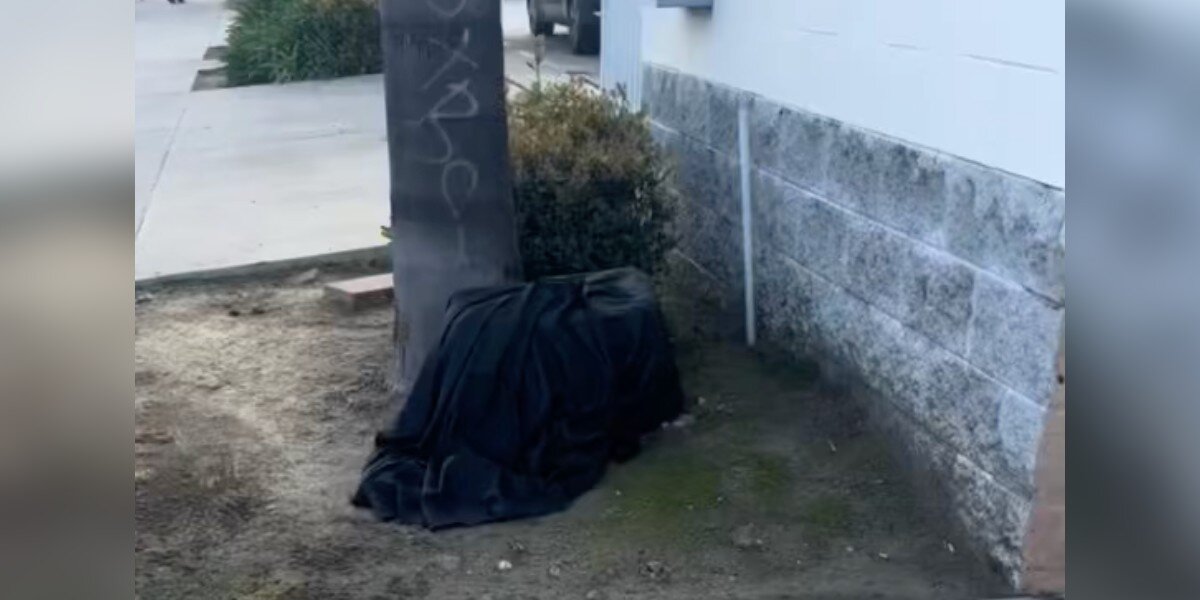 Discovery Of Rain-Soaked Blanket Leads Rescuers To A Little Family In ...