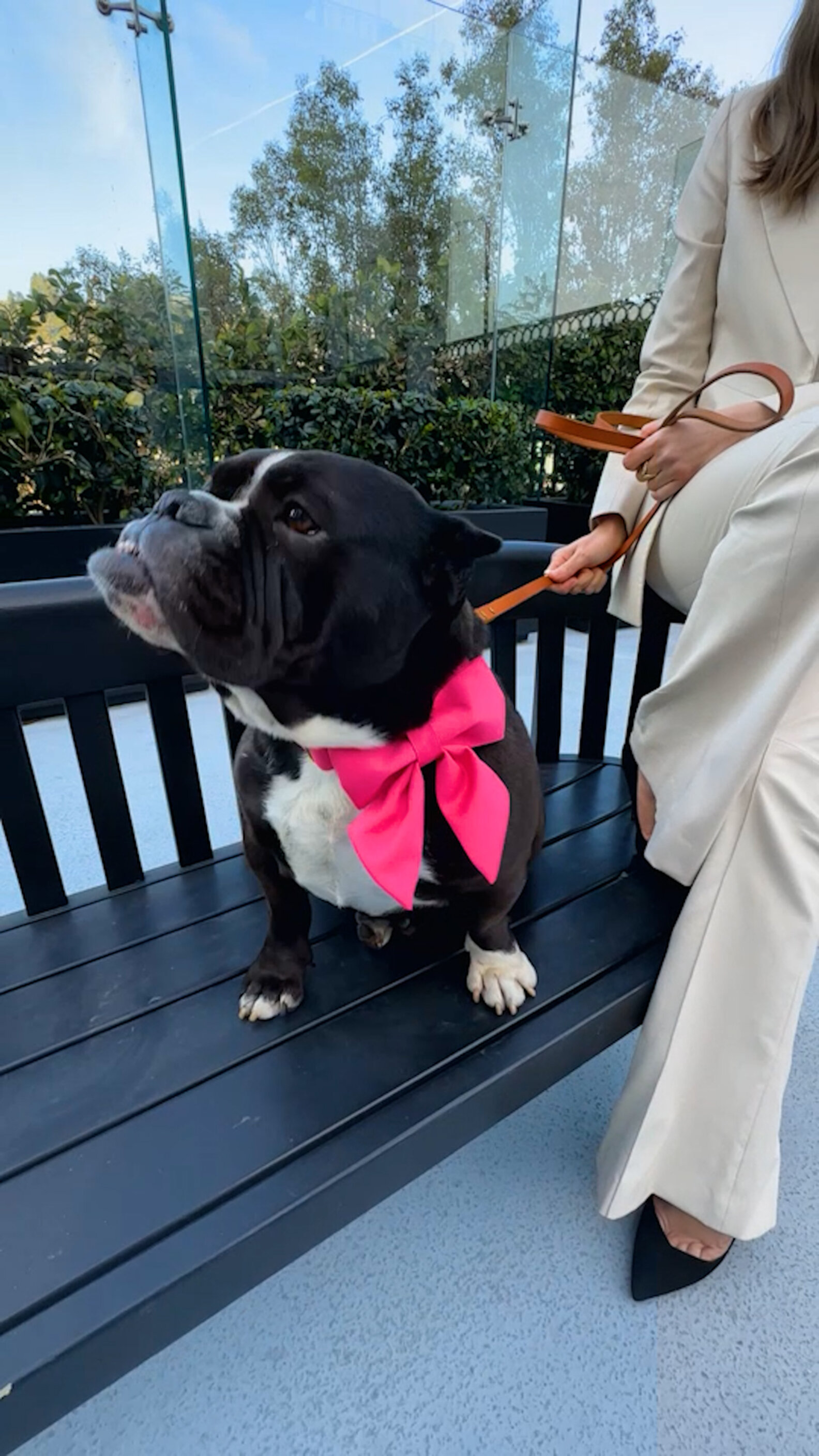 Ana de Armas Goes On A Very Sophisticated Dodo Dream Date - The Dodo