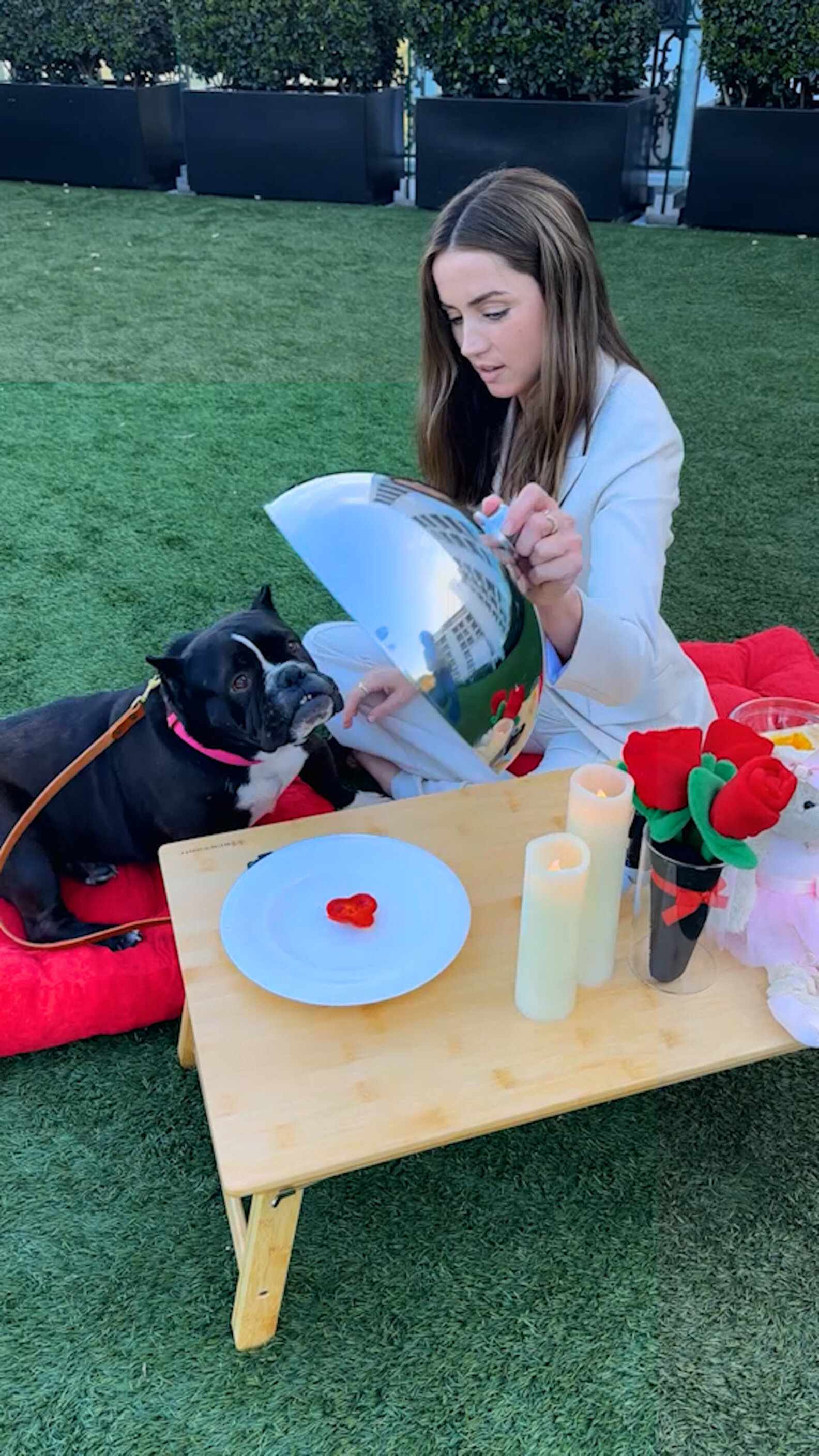 Ana de Armas Goes On A Very Sophisticated Dodo Dream Date - The Dodo