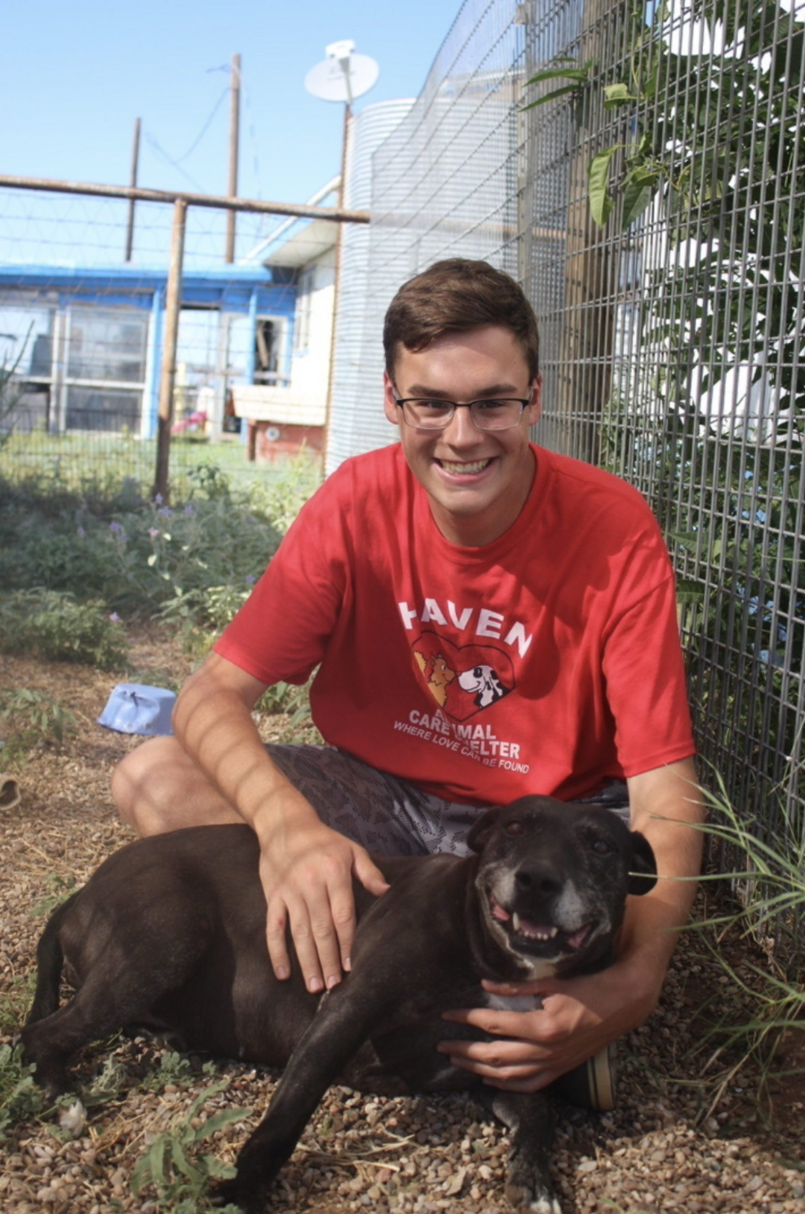 She Went Gray After 7 Years In A Shelter — Then Someone Gave Her A ...