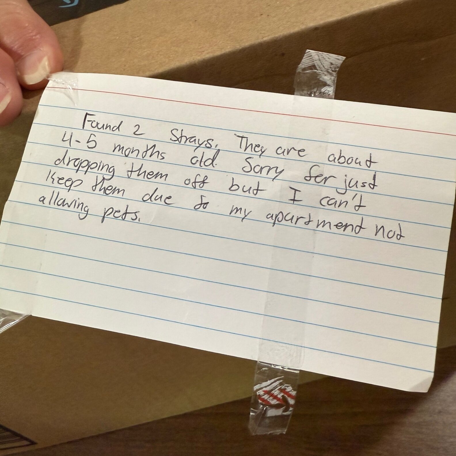 Handwritten Note On ‘Taped Up’ Box Leads To Heartbreaking Discovery ...