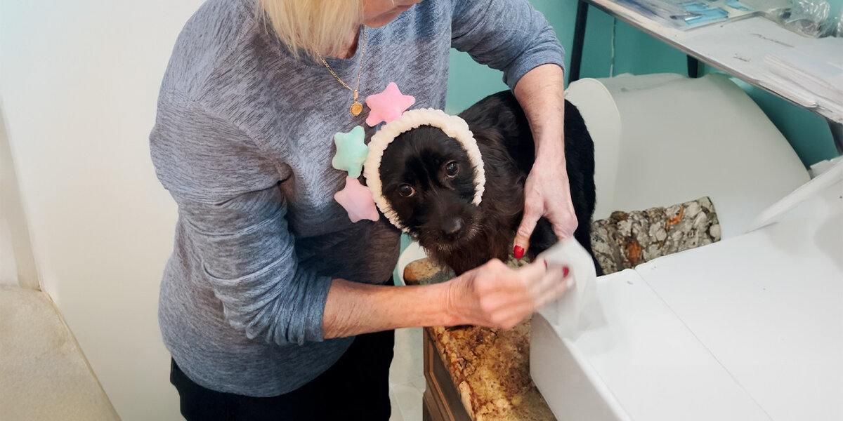 Dog Has Ultimate Nighttime Self-Care Routine With Mom - Videos - The Dodo