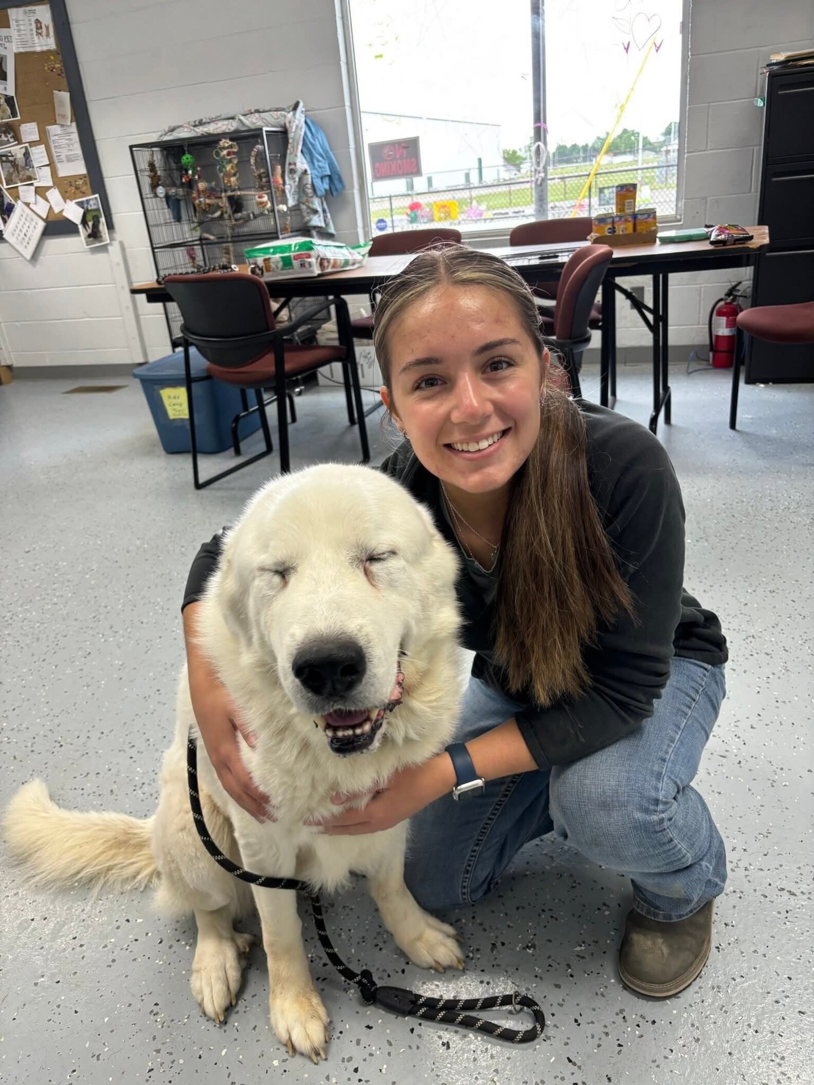 10-Year-Old Dog Pretends To Be 'Feeble' In Order To Get Adopted - The Dodo