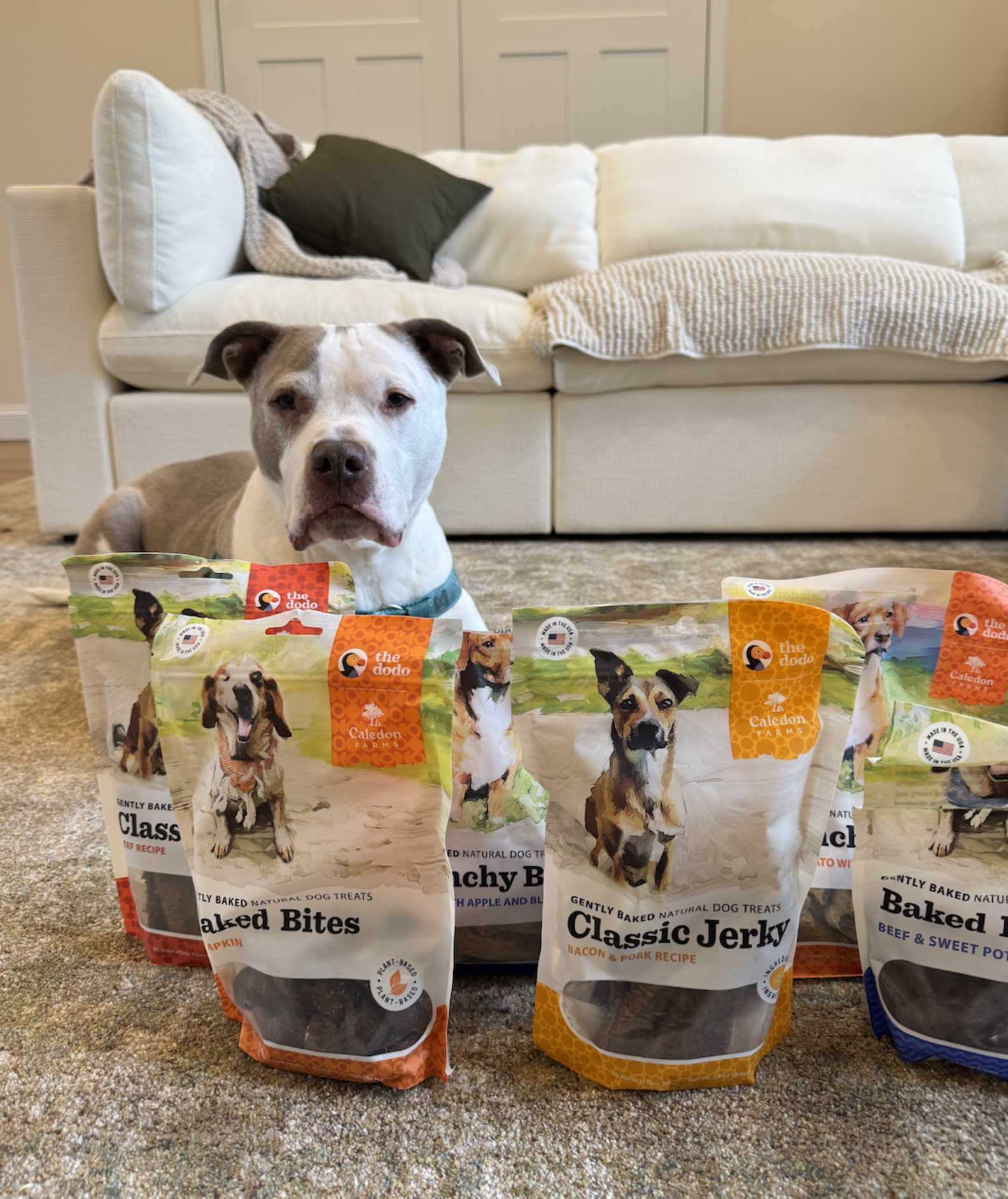 The Dodo Launches A Line Of Treats Inspired By Our Own Dogs