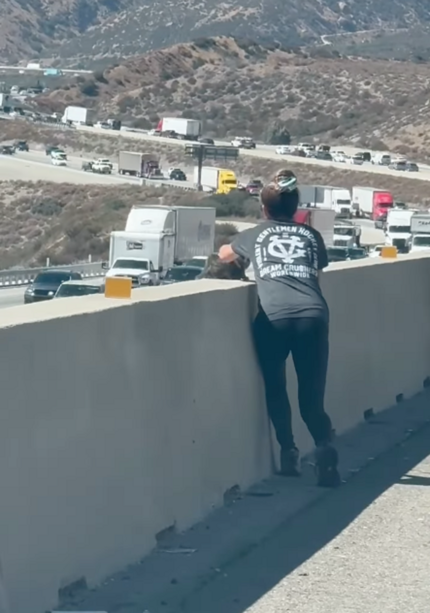 Mom Stops Car On Highway And Jumps Out To Help A Panting Kitten - The Dodo