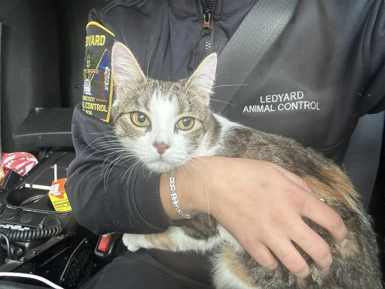 Driver Notices Laundry Basket On Side Of Road — Then Sees A Nose Pop ...