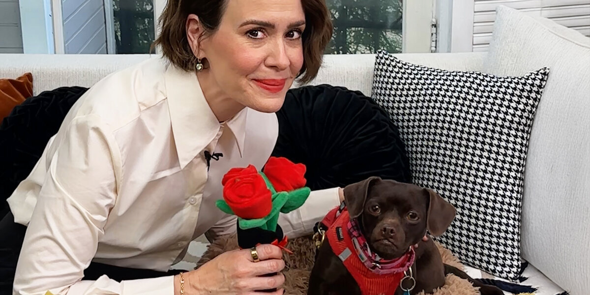 Sarah Paulson Shares Her Biggest Fear With Her Dodo Dream Date - Videos - The Dodo