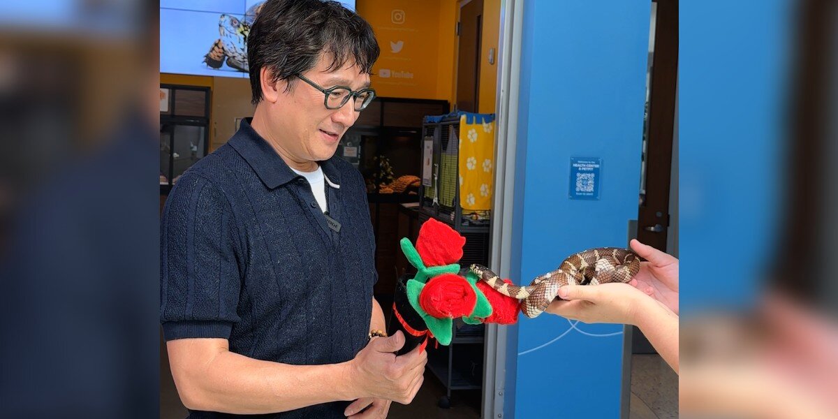 Ke Huy Quan Goes On A Dream Date With A Dog — And A Snake - The Dodo