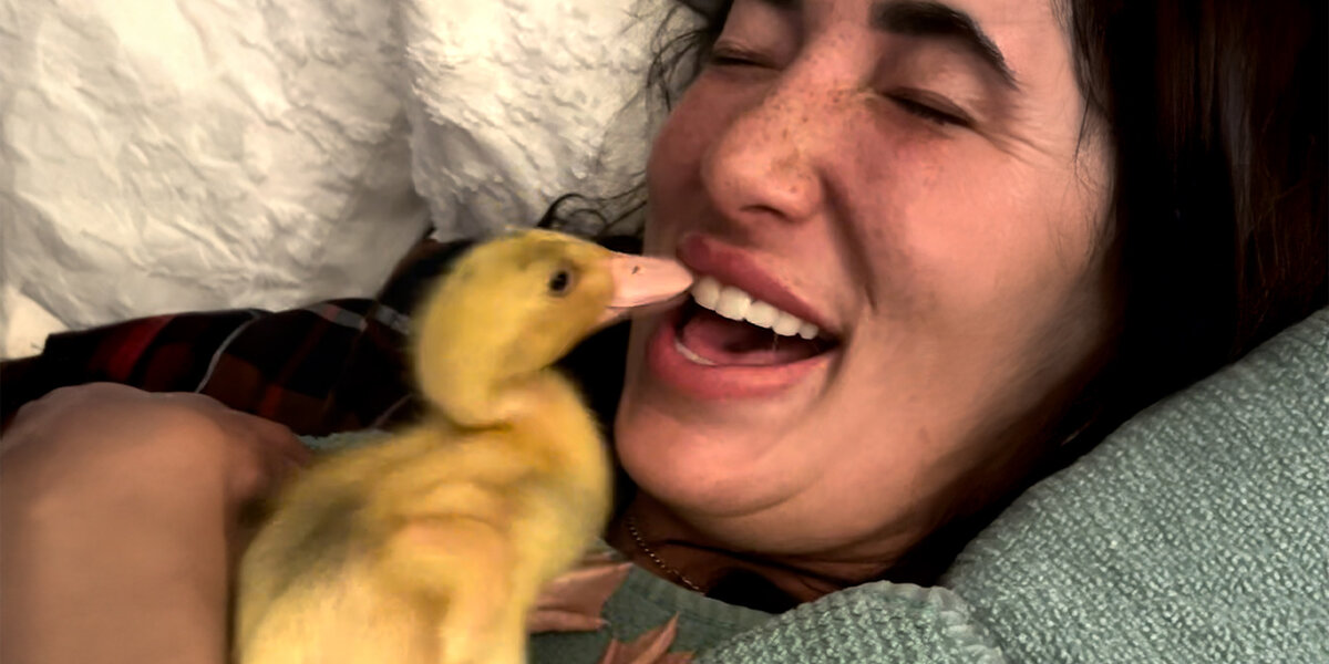 Baby Duck Follows Her Human Mom Around All Day - Videos - The Dodo