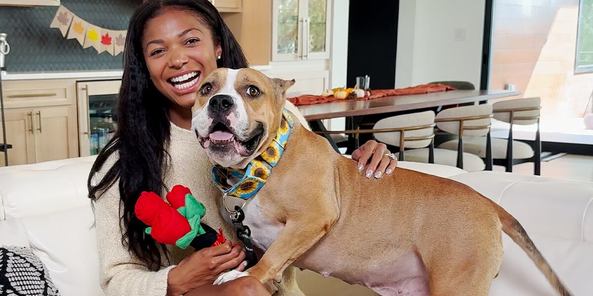 Gabby Thomas Bakes A Special Surprise For Her Dream Date - Videos - The Dodo