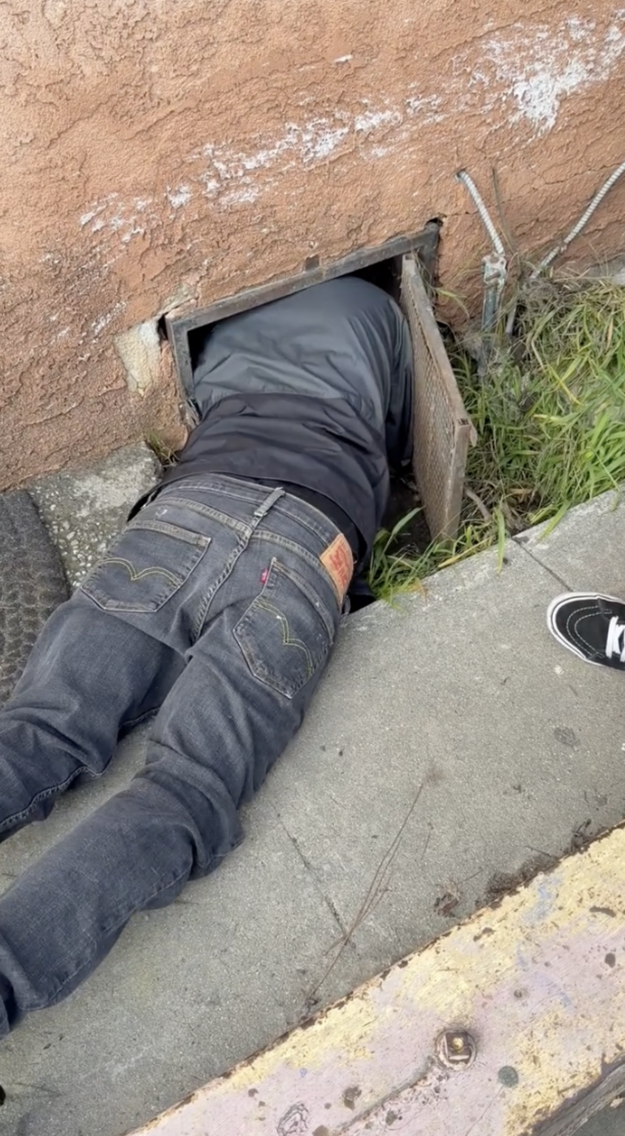 Face Poking Out From Under House Leads Woman To A Pile Of 'Little ...