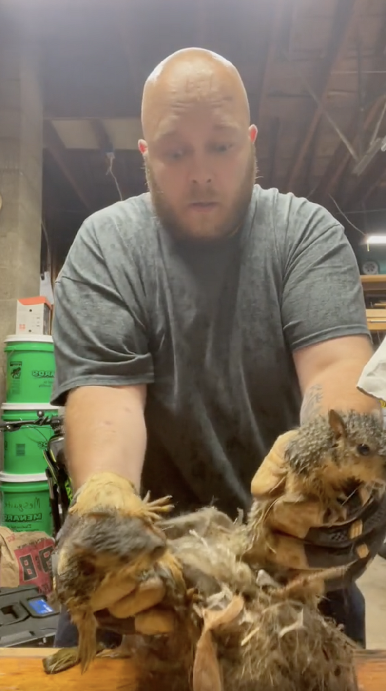 Man Goes To Help Squirrel With A Tangled Tail — Then Another Face Pops ...