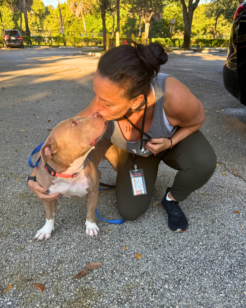 'She's A Really Good Dog,' Man Cries As He Surrenders Pup Whose Dad Was Deported - The Dodo