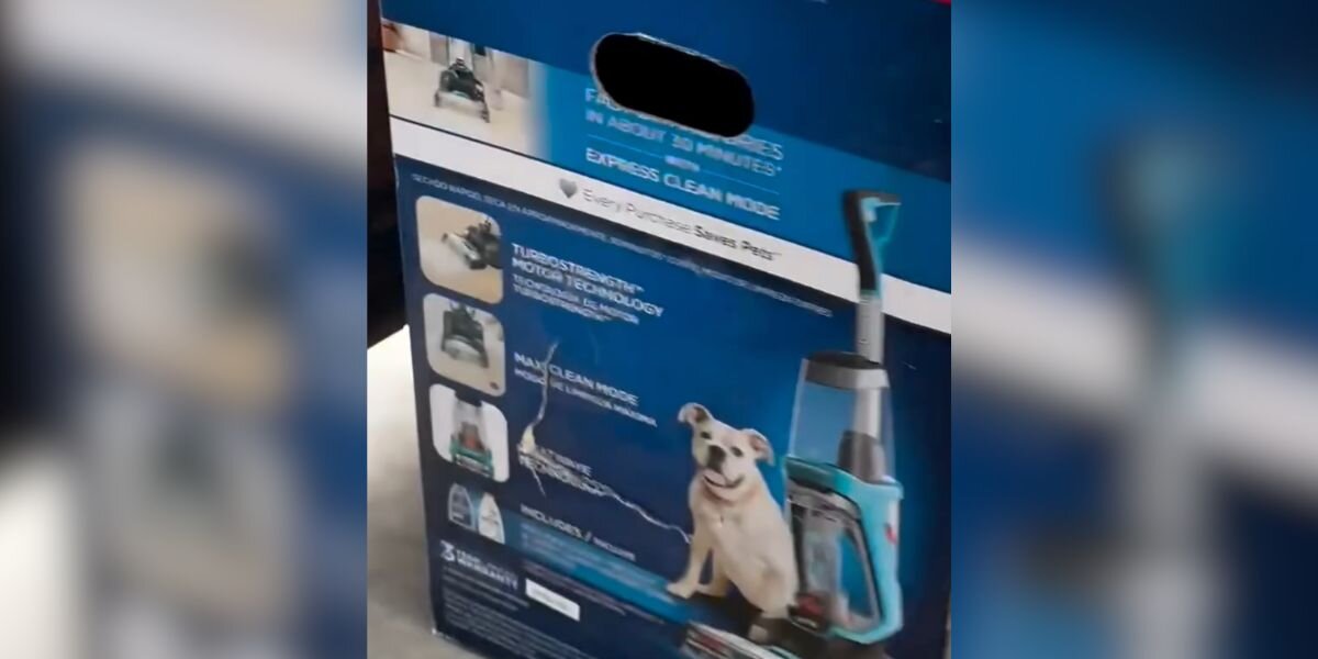 Abandoned Carpet Cleaner Box Actually Holds ‘Desperate’ Soul Trapped ...