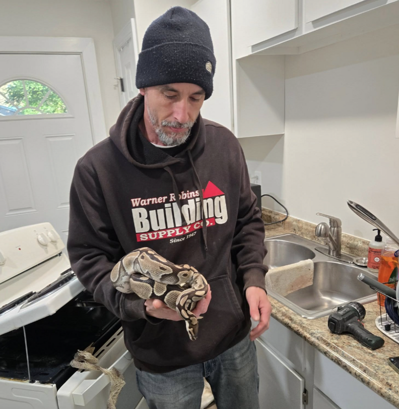 Renter Moves Into Apartment And Finds Huge, Scaly Visitor Hiding In ...