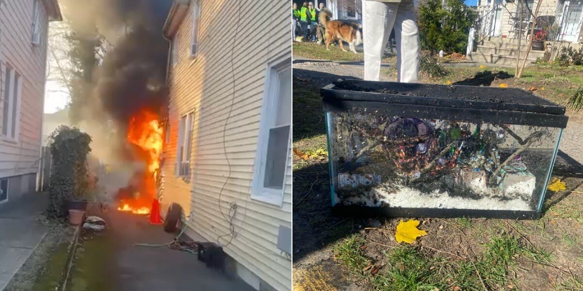 Firefighters Pull Charred Cage From Burning Home And Find A Tiny ...