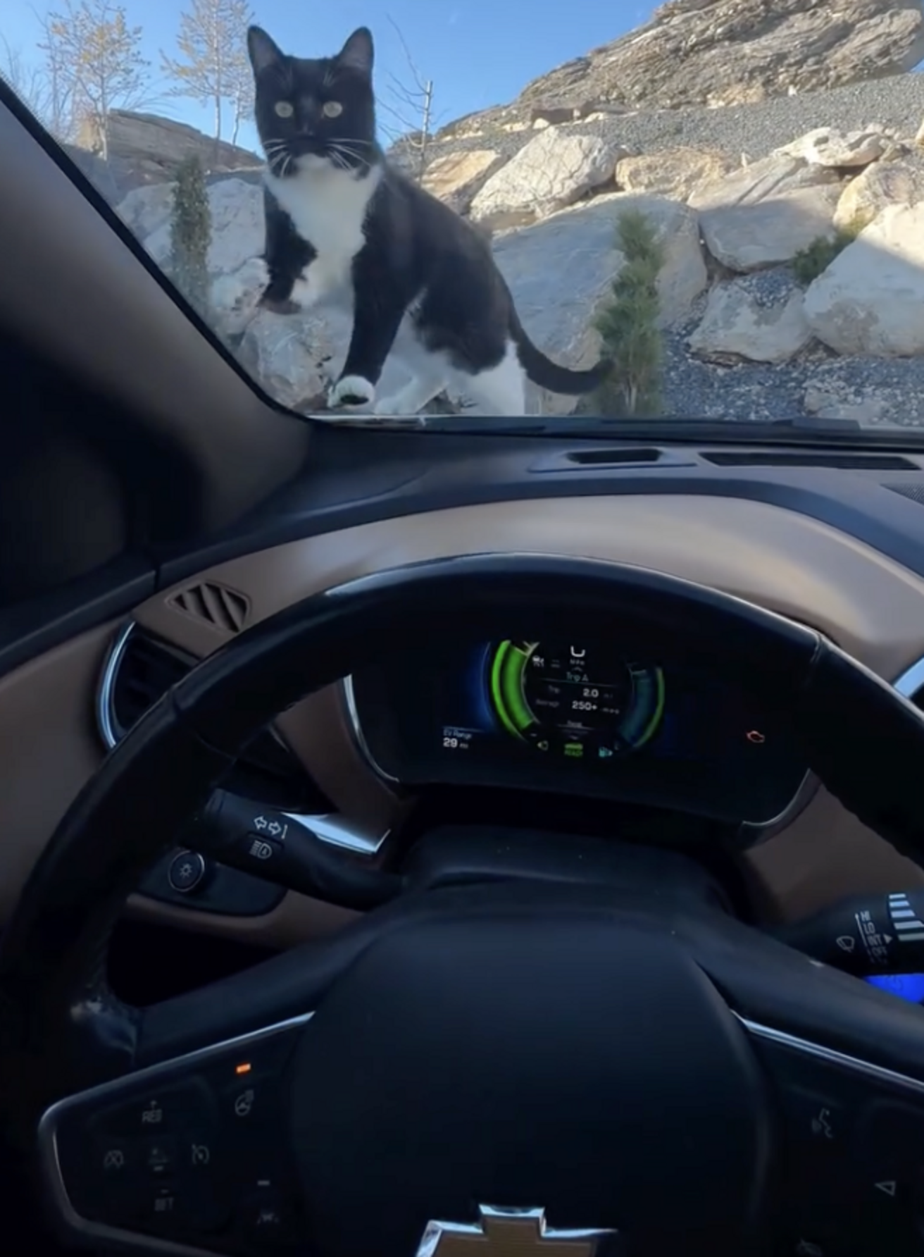 Realtor Driving Away From Client's House Brakes When Someone Points To ...