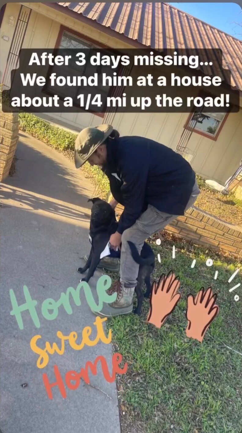 Man Handing Out Flyers For Lost Dog Doesn’t Realize Who's Right Behind ...