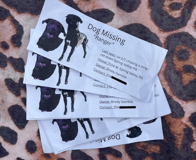 Man Handing Out Flyers For Lost Dog Doesn’t Realize Who's Right Behind ...