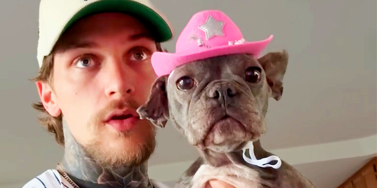 Watch This Senior Frenchie Get Loved Back To Life - Videos - The Dodo