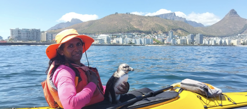 Adventure Guide Stunned When Penguin Jumps Into Her Kayak And Gives Her ...
