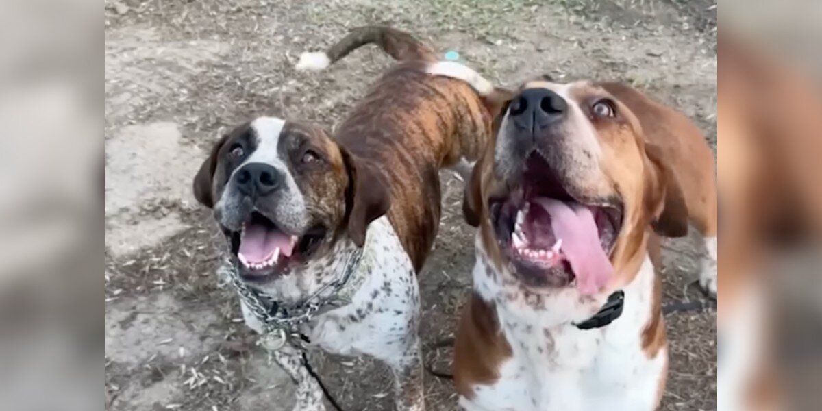 'Death Row' Brothers Turn Into Puppies Again The Moment They're ...