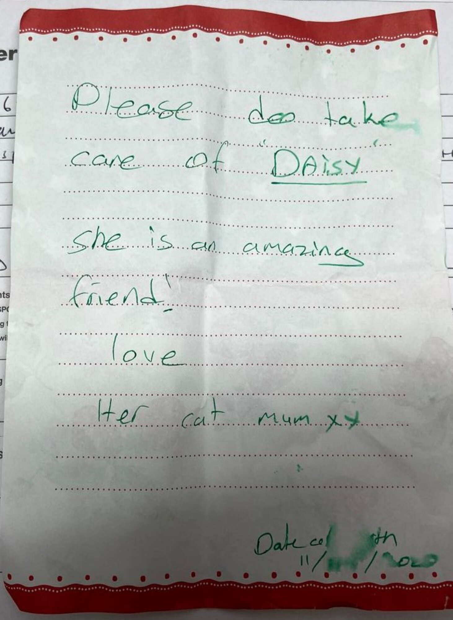 Tearstained Note Taped To Abandoned Pet Carrier Breaks Rescuers Hearts ...