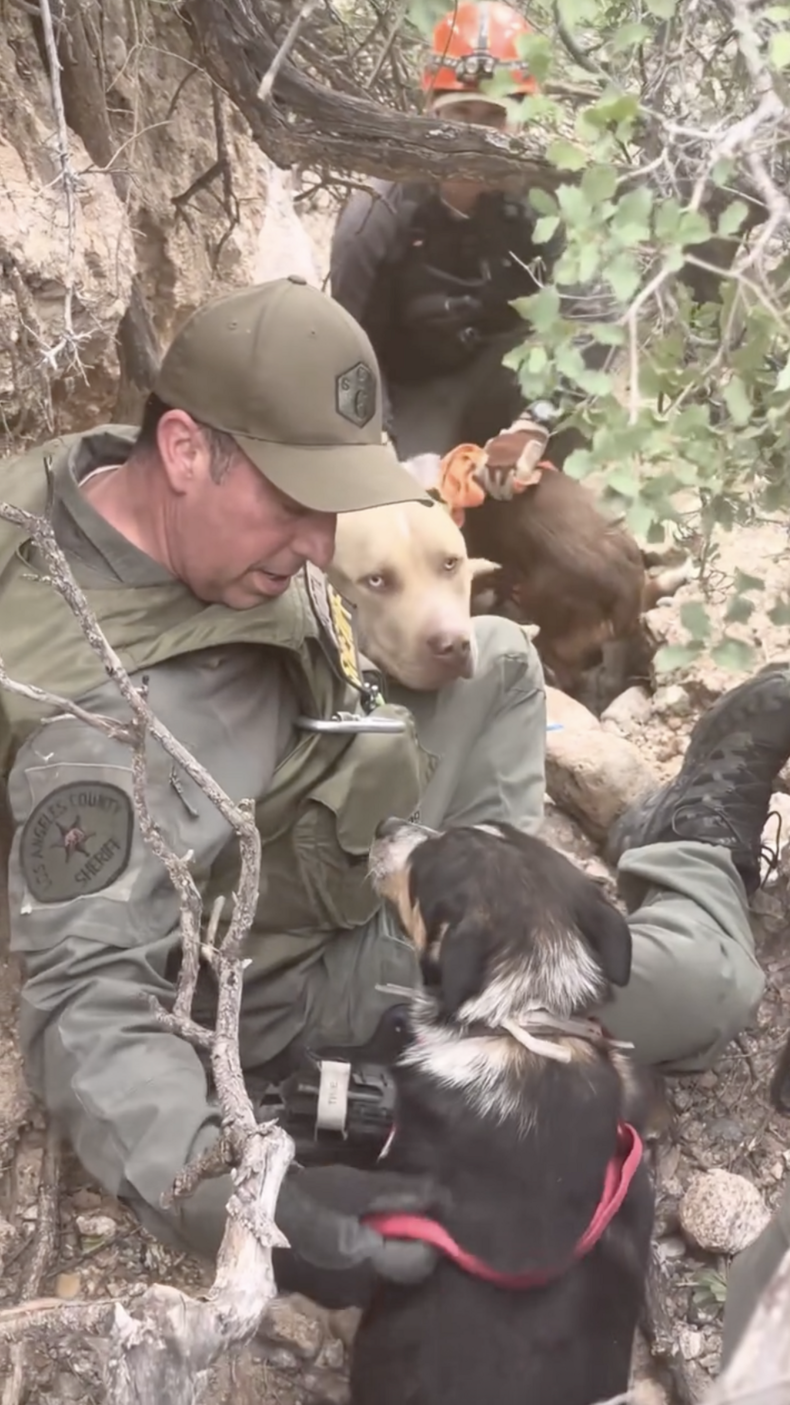 Frantic Barks From A Distant Canyon Lead Rescuers To 3 Lives In Need Of ...