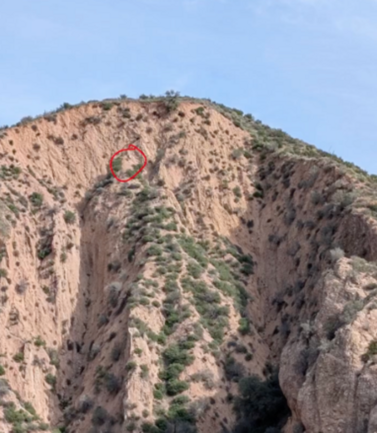 Frantic Barks From A Distant Canyon Lead Rescuers To 3 Lives In Need Of ...