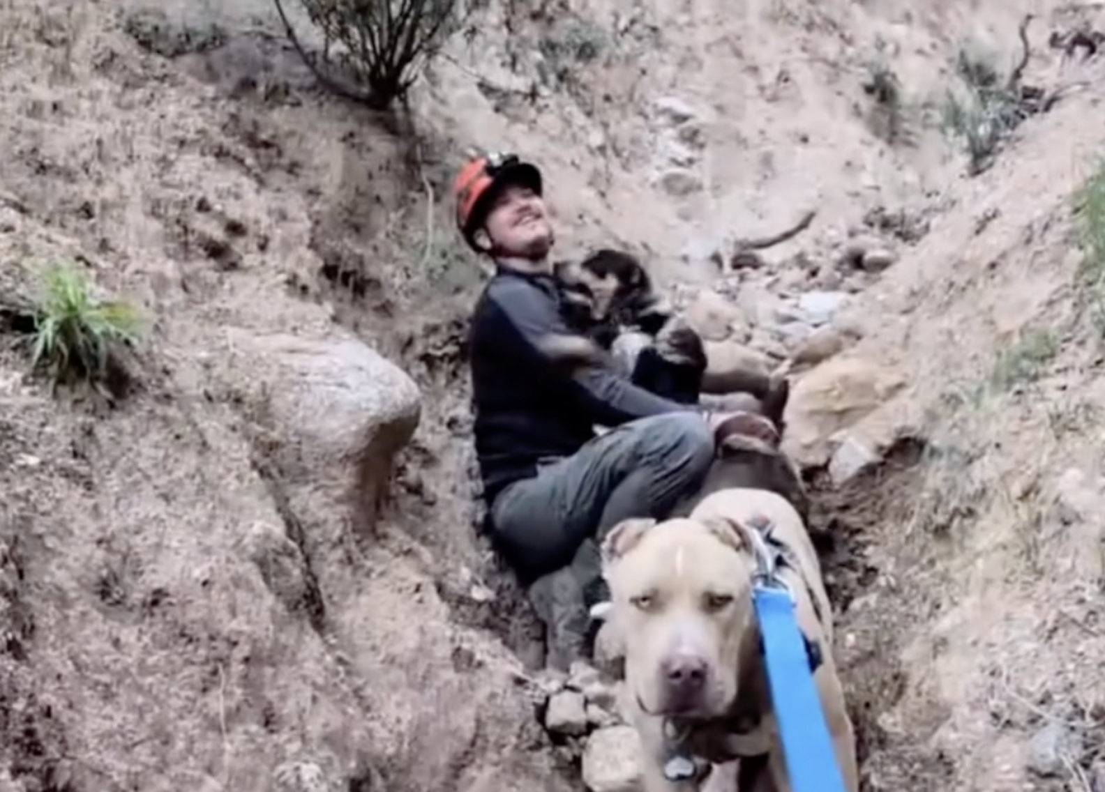 Frantic Barks From A Distant Canyon Lead Rescuers To 3 Lives In Need Of ...