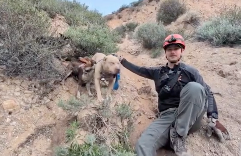 Frantic Barks From A Distant Canyon Lead Rescuers To 3 Lives In Need Of ...