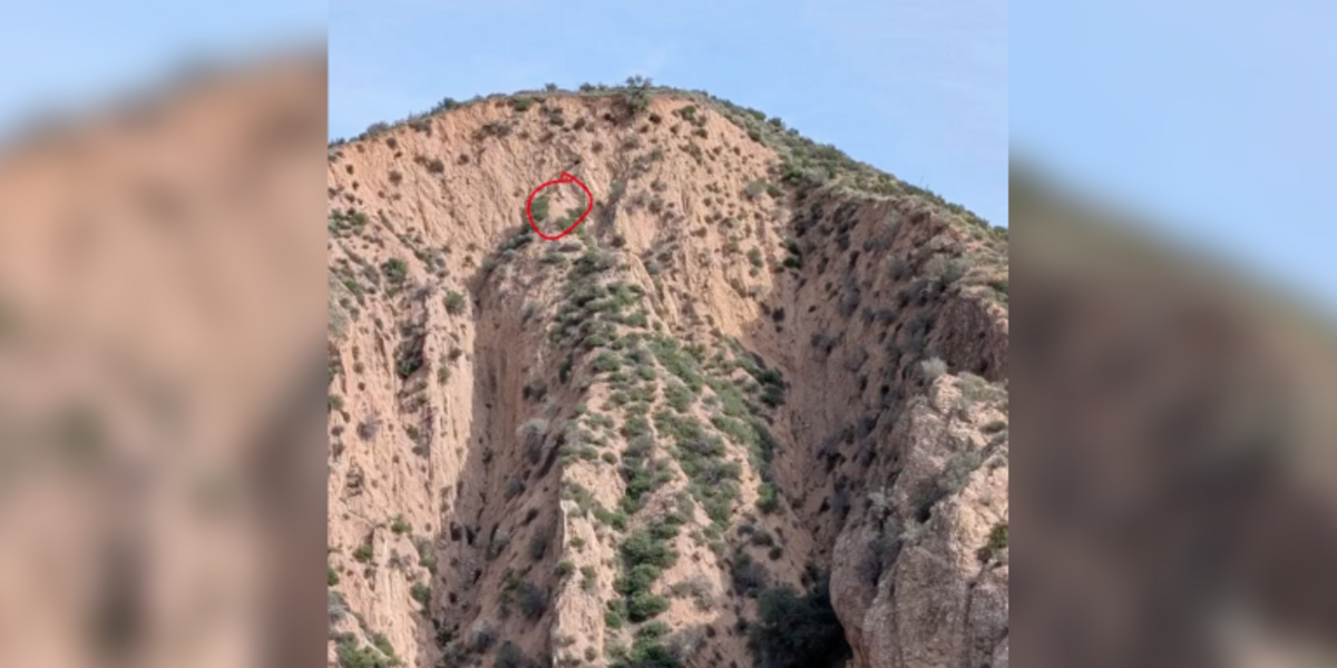 Frantic Barks From A Distant Canyon Lead Rescuers To 3 Lives In Need Of ...