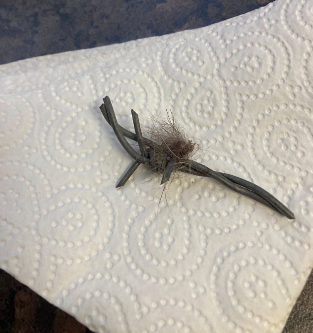 Dad On A Stroll Sees Puffballs Caught In Barbed Wire Fence And Runs For ...