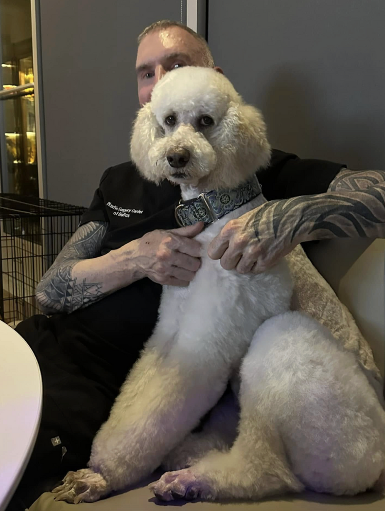 Rescuers Pull Matted Stray From The Streets And Discover She's A ...