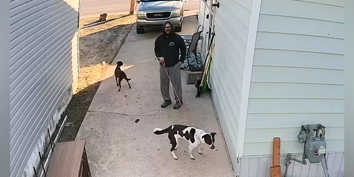 Man Walking His Dogs Sees A Rabbit Run By — Then Realizes Why He's In A ...