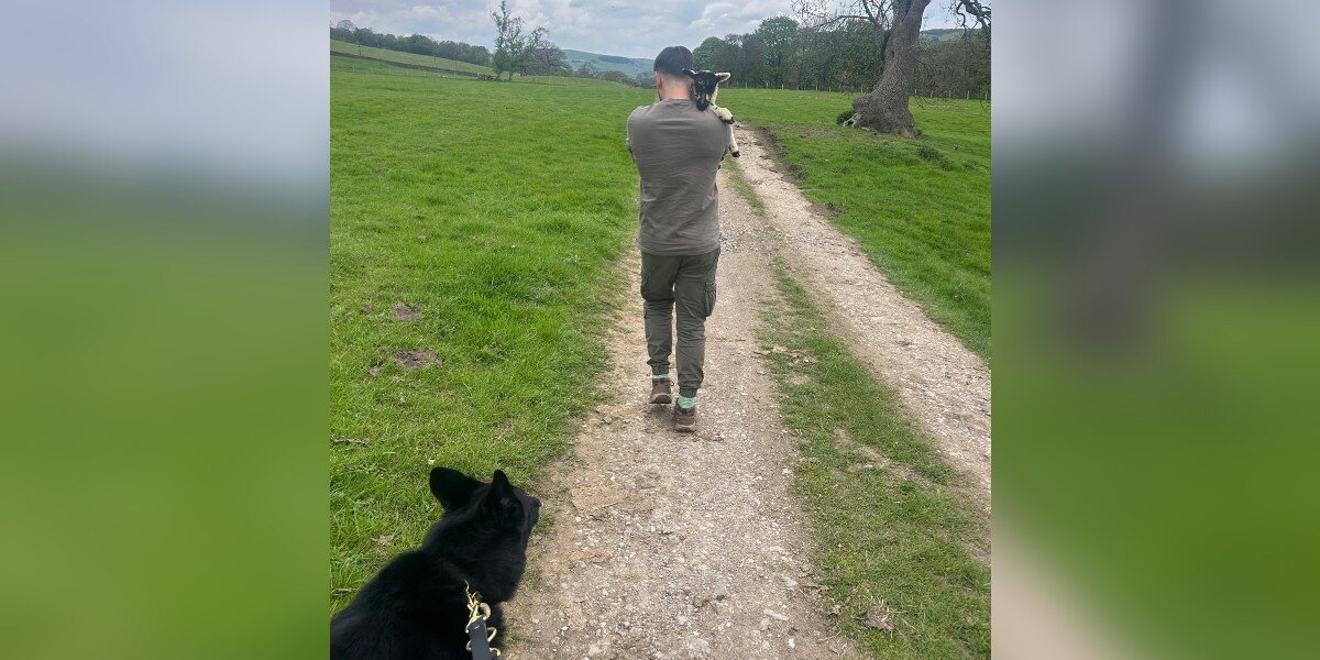Police Dog Was Enjoying His Retirement — Until He Spotted A Baby In ...