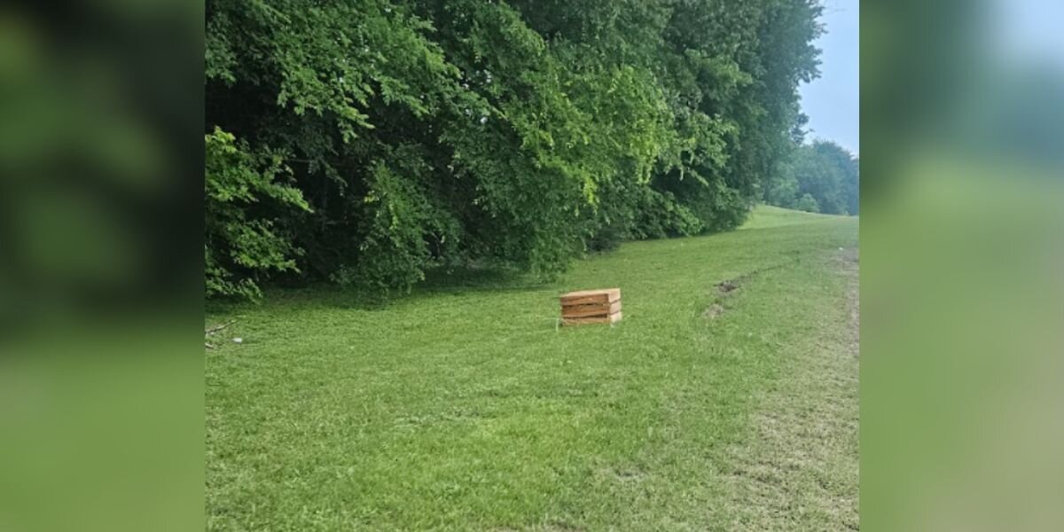 Teacher Driving To Work Checks Abandoned Crate And Finds 5 Babies ...