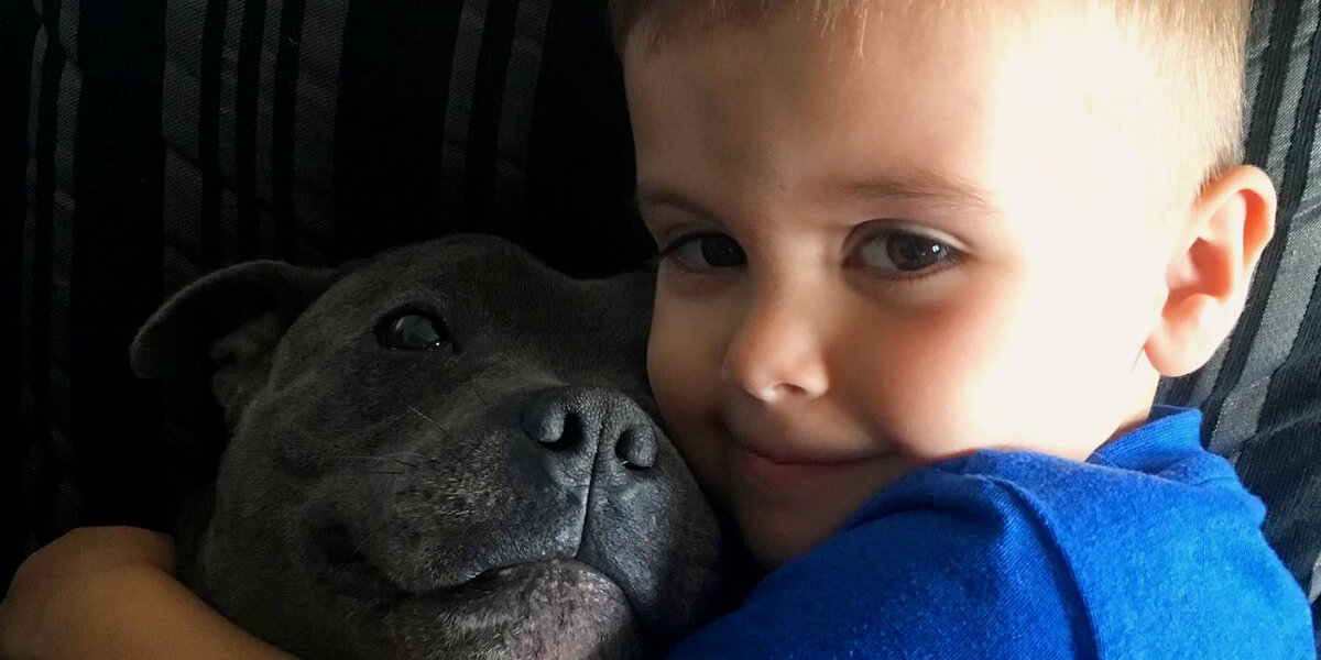 A Tribute To A Boy And His Very Best Friend ️ - Videos - The Dodo