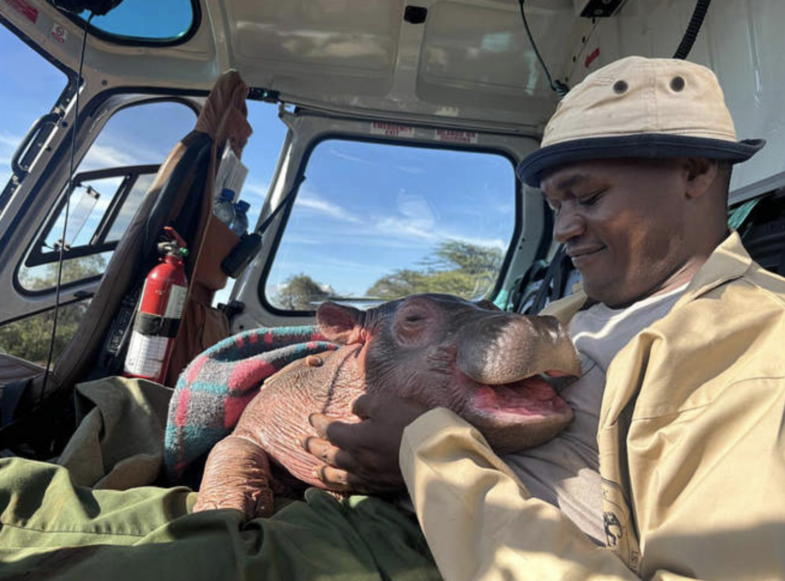 Hippo Couldn't Sleep Without Mom — So His Rescuer Moved His Bed To The ...
