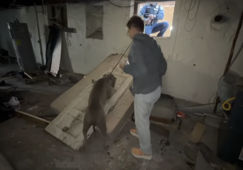 Woman Passing Abandoned House Sees Little Face In The Window Staring ...