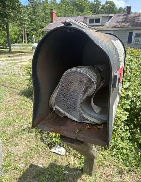 Someone Left a Package in Their Mailbox — Then It Moved - The Dodo