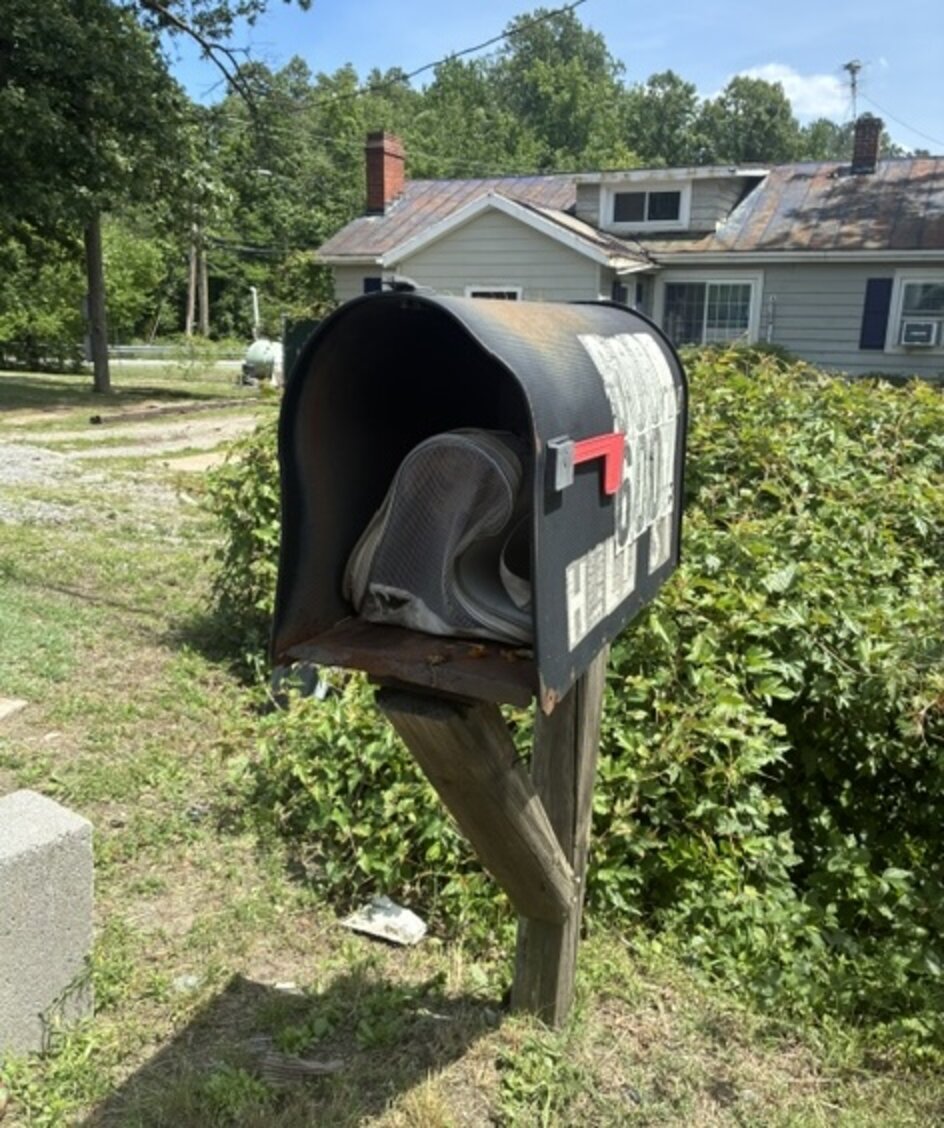 Someone Left a Package in Their Mailbox — Then It Moved - The Dodo